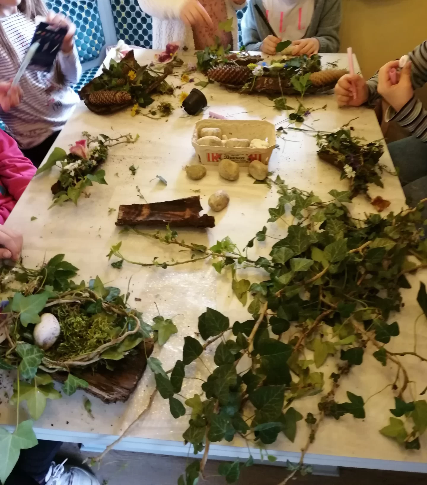 Westerwälder NaturErlebnisse